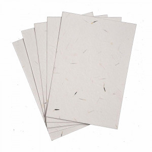 Plantable papers|Eco friendly papers|Biodegradable paper|Ecohoy